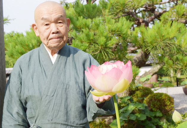色鮮やかにハス開花 東日新聞
