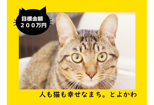 人も猫も幸せなまちづくり 東日新聞