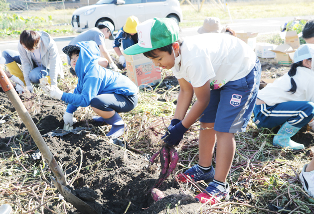 イモいっぱい子どもら笑顔 東日新聞
