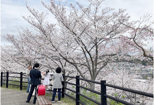 新生活 桜見頃とともに 東日新聞
