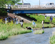 朝倉川全域で530運動 東日新聞