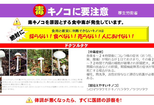 毒キノコに注意を 東日新聞